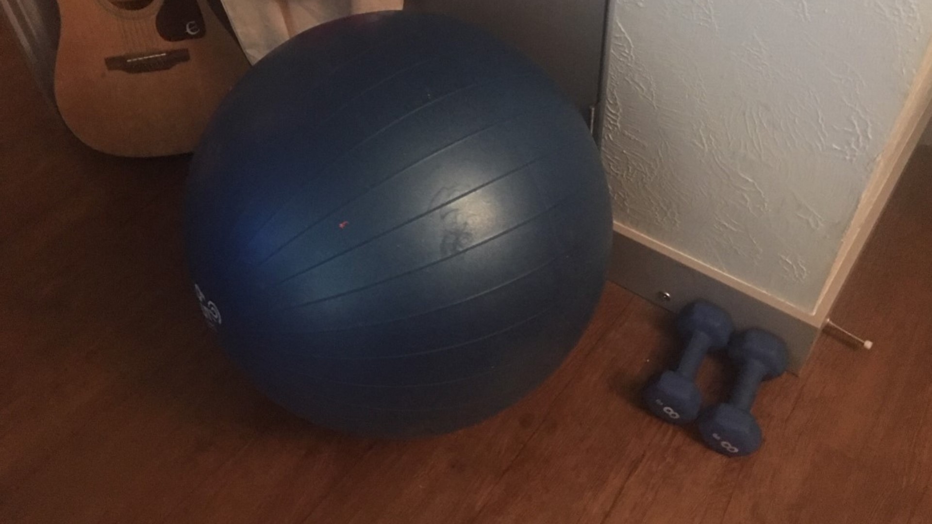 Working from home in a Denver studio apartment | 9news.com