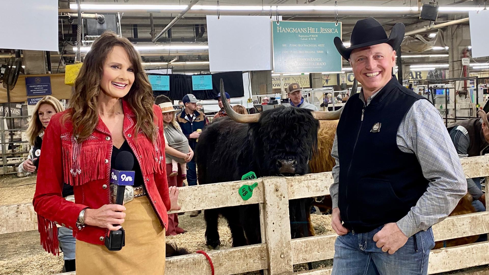 National Western Stock Show Parade to be held Thursday in Denver ...