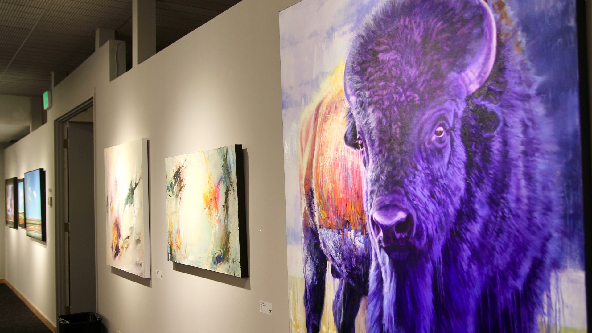 9 Things to do in Denver and Colorado this weekend: May 5, 6, 7 | 9news.com