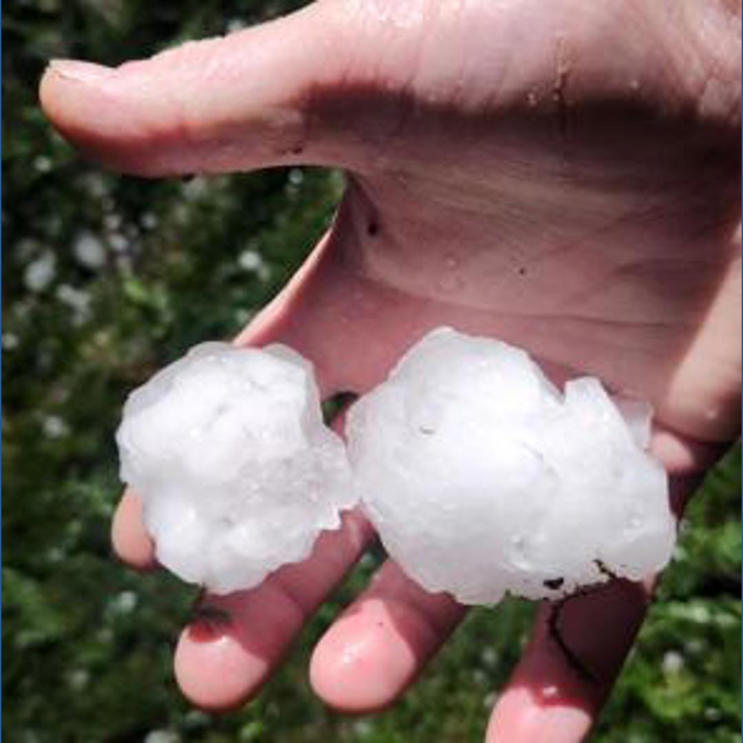 Photos: Severe storms bring large hail to northern Colorado | 9news.com