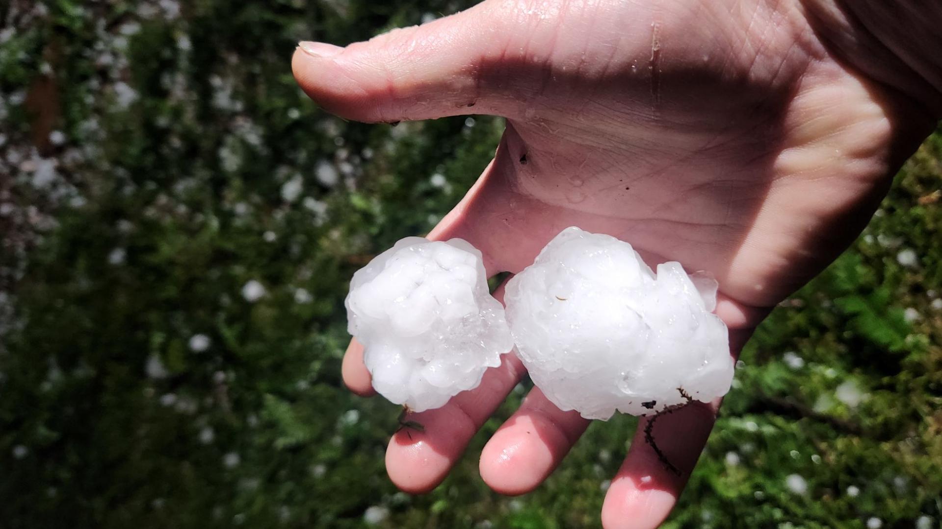 Photos: Severe storms bring large hail to northern Colorado | 9news.com