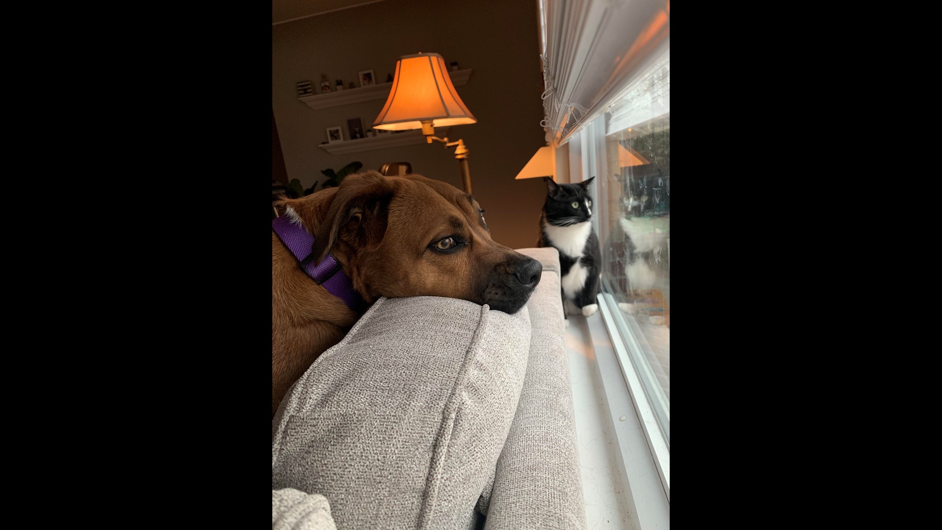 Bomb Cyclone: Colorado's 2019 weather event was the strongest ever ...