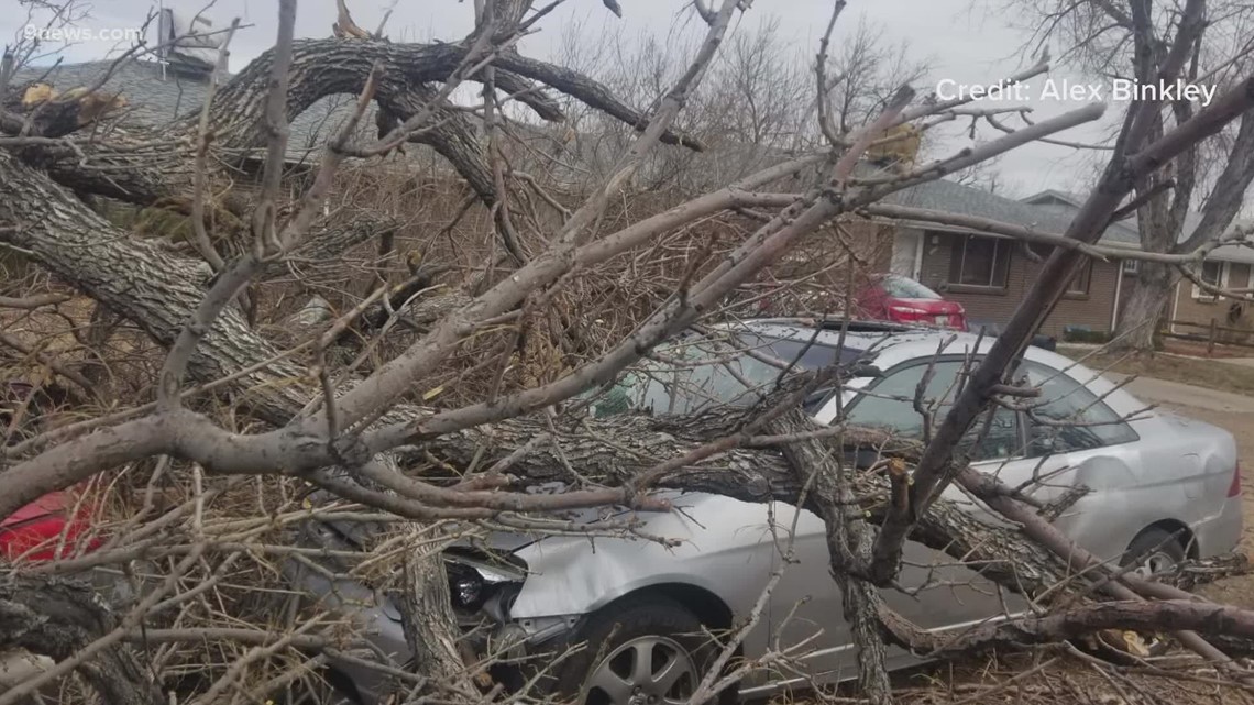 Strong winds bring down power lines, trees across Colorado | 9news.com