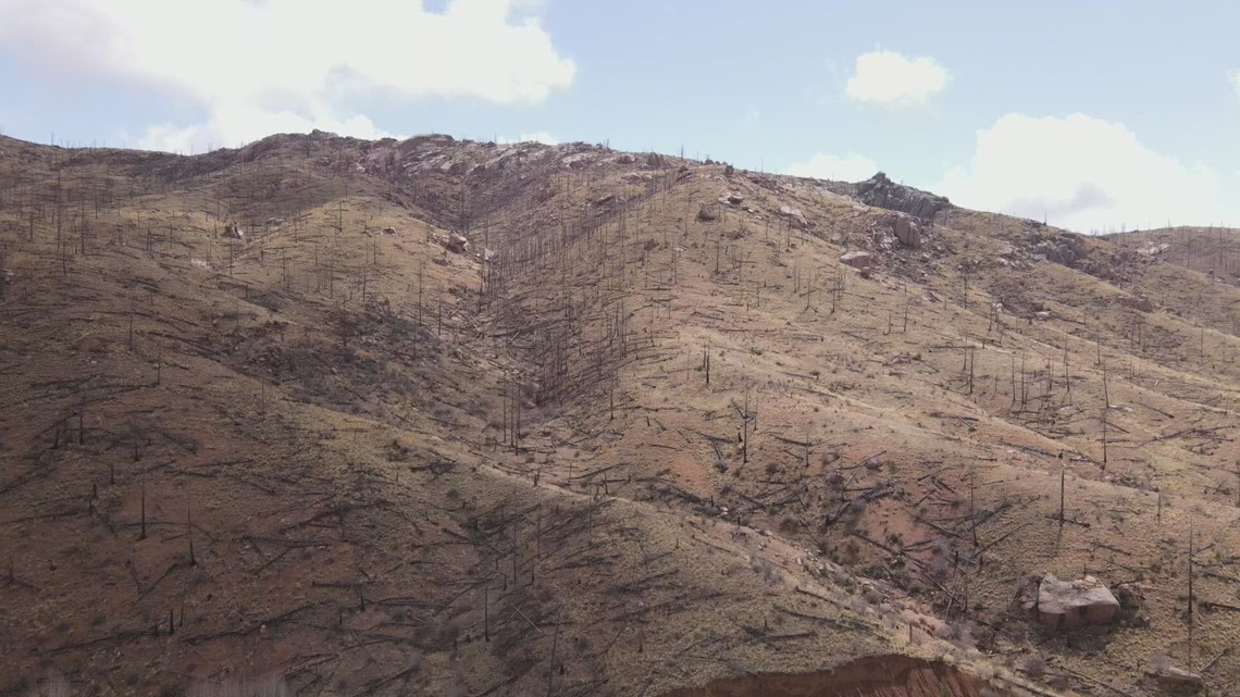 Led Zeppelin played their first U.S. show in Denver | 9news.com