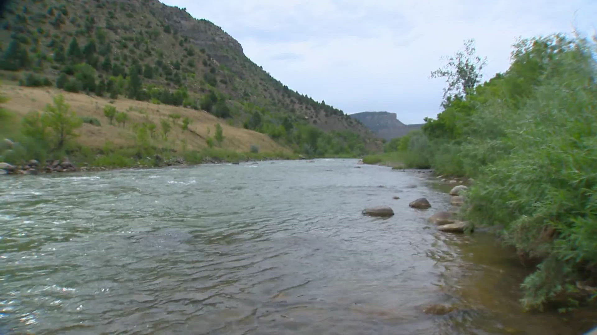 Gas pipeline spill on Southern Ute land is Colorado's largest | 9news.com