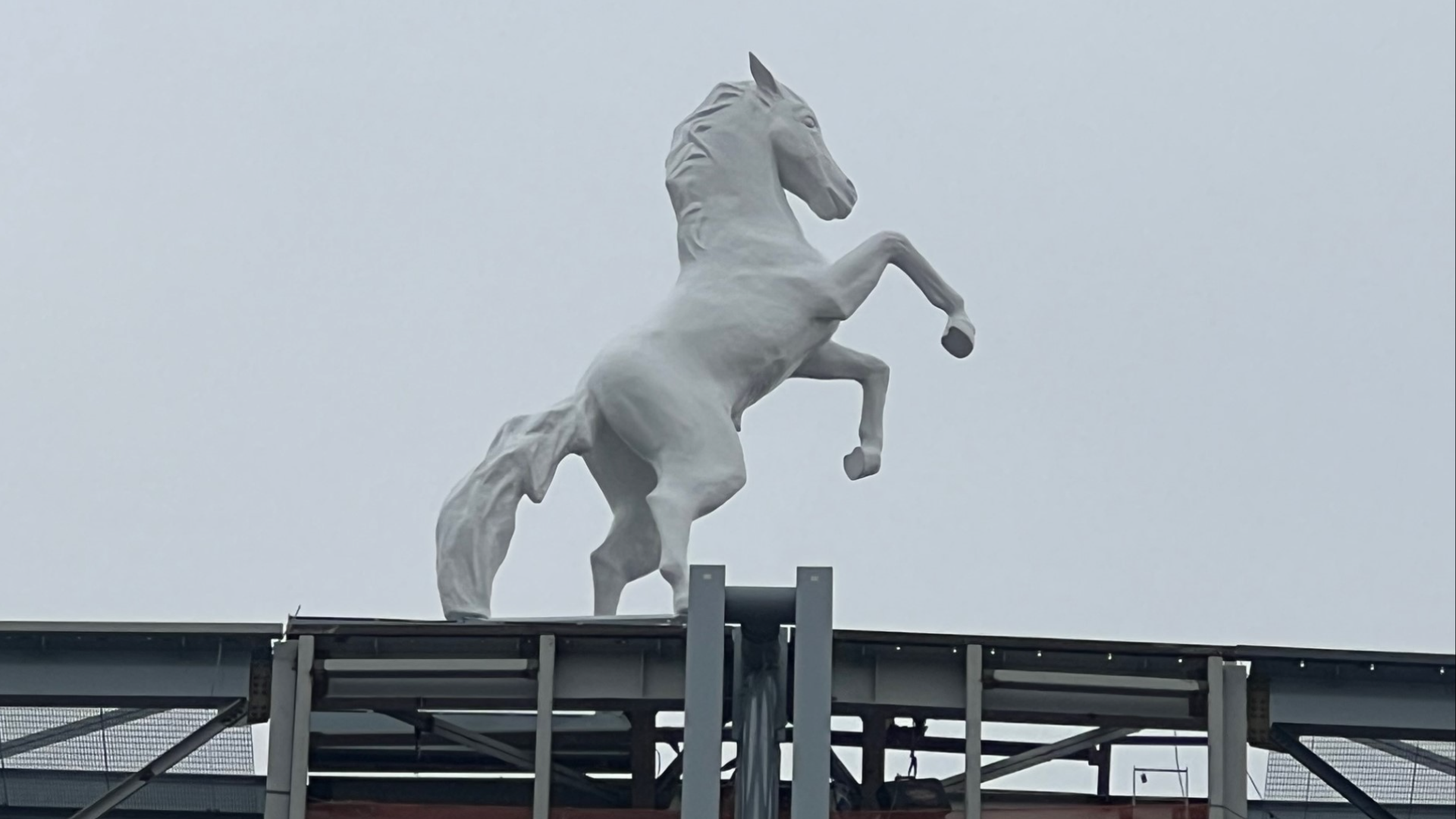 Bucky the Bronco returned to Denver Broncos' stadium South Stands ...