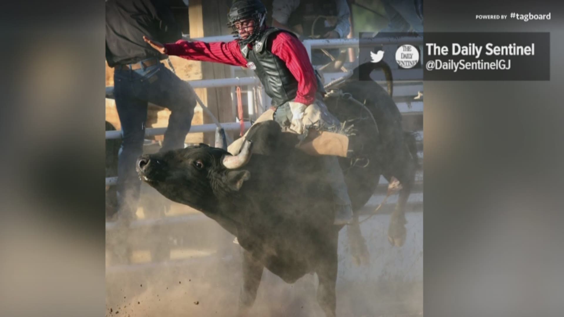Colorado bull rider suffers fatal injuries at Wyoming rodeo | 9news.com