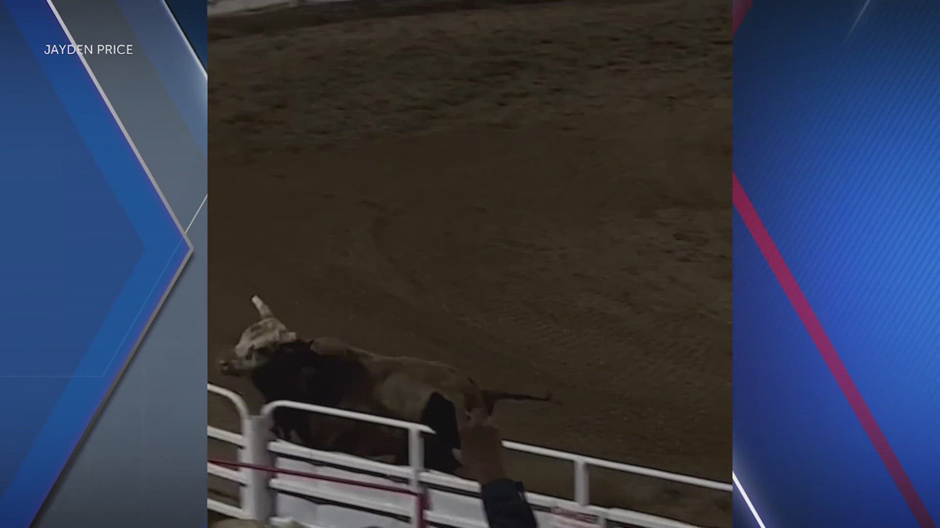 Bull jumps rodeo arena fence, injures several people | 9news.com