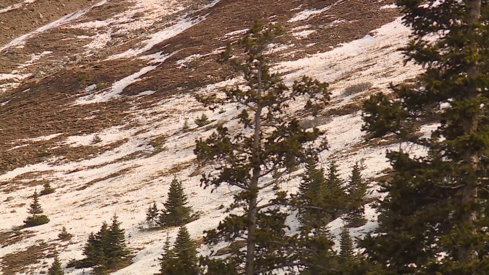 2025 snowpack tied for worst in state history | 9news.com