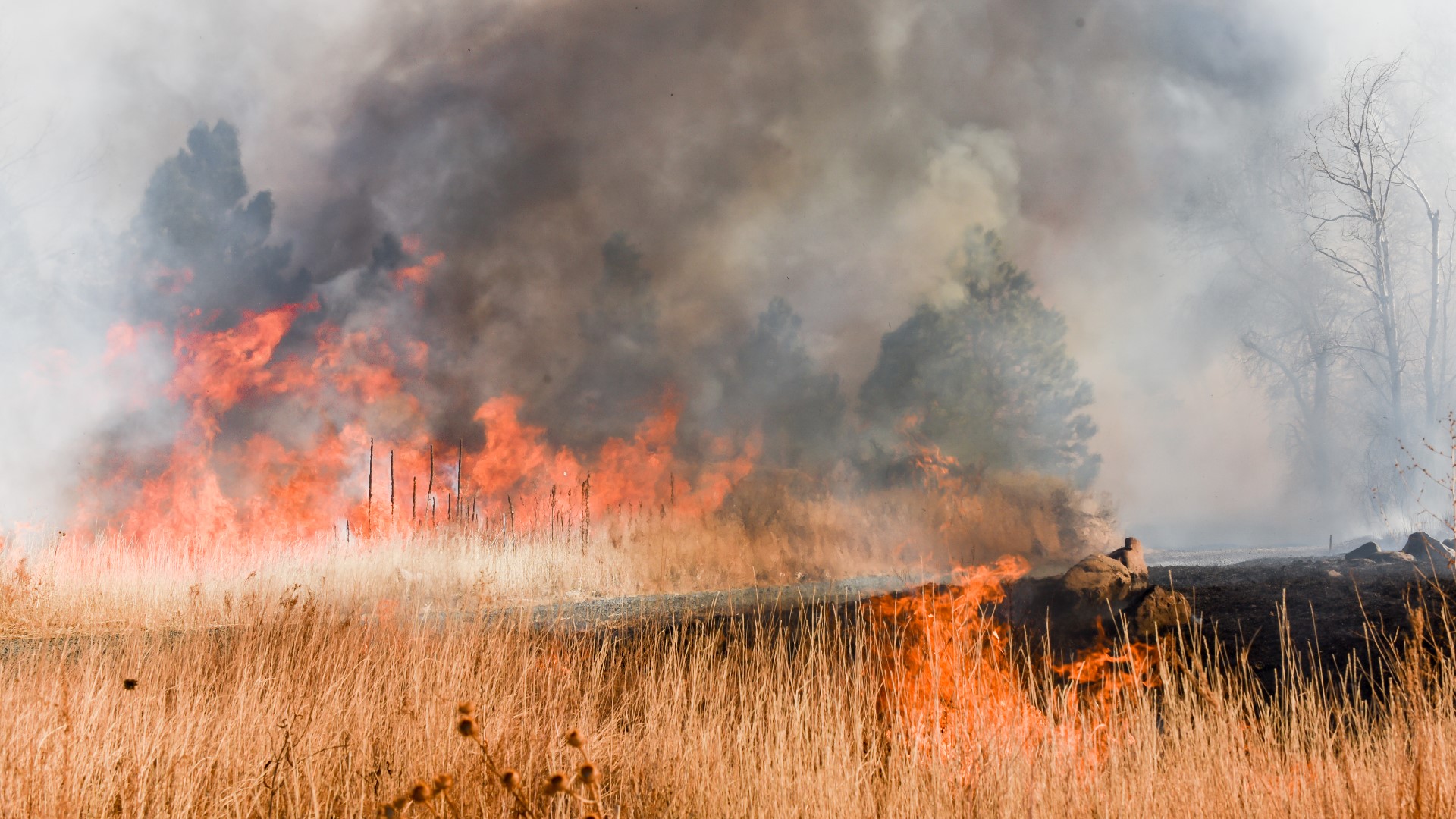 The story behind Colorado's most destructive wildfire | 9news.com