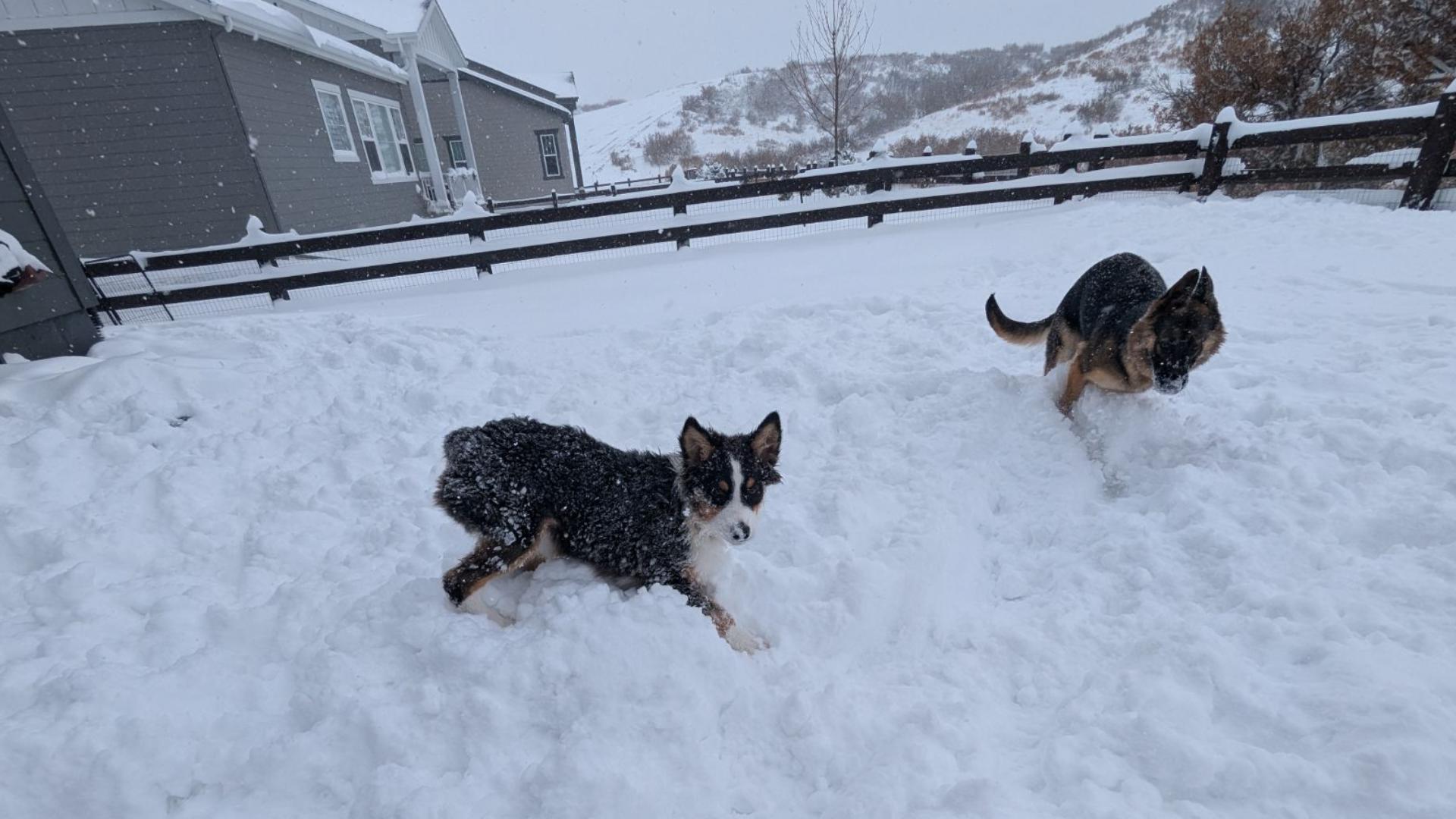 Major winter storm in Colorado: How much snow Denver could get | 9news.com