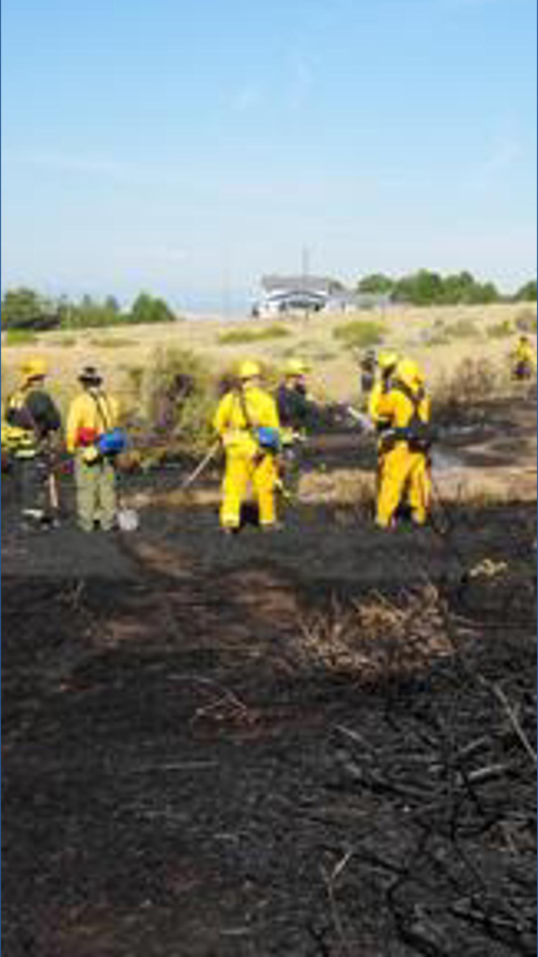 Electrocuted bird sparks vegetation fire in Douglas County | 9news.com