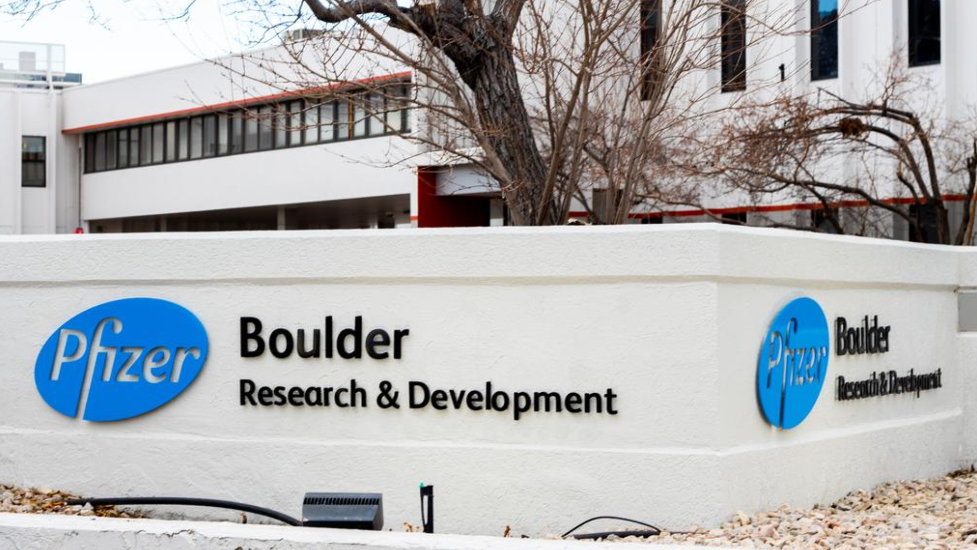 End of Boulder R&D operations for Pfizer in Boulder | 9news.com