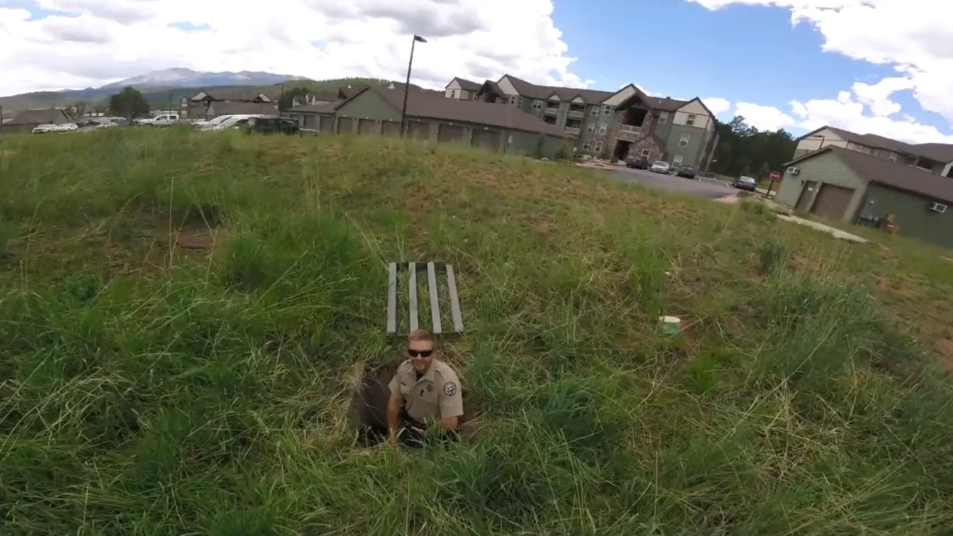 Colorado wildlife officials rescue fawn stuck in sewer | 9news.com