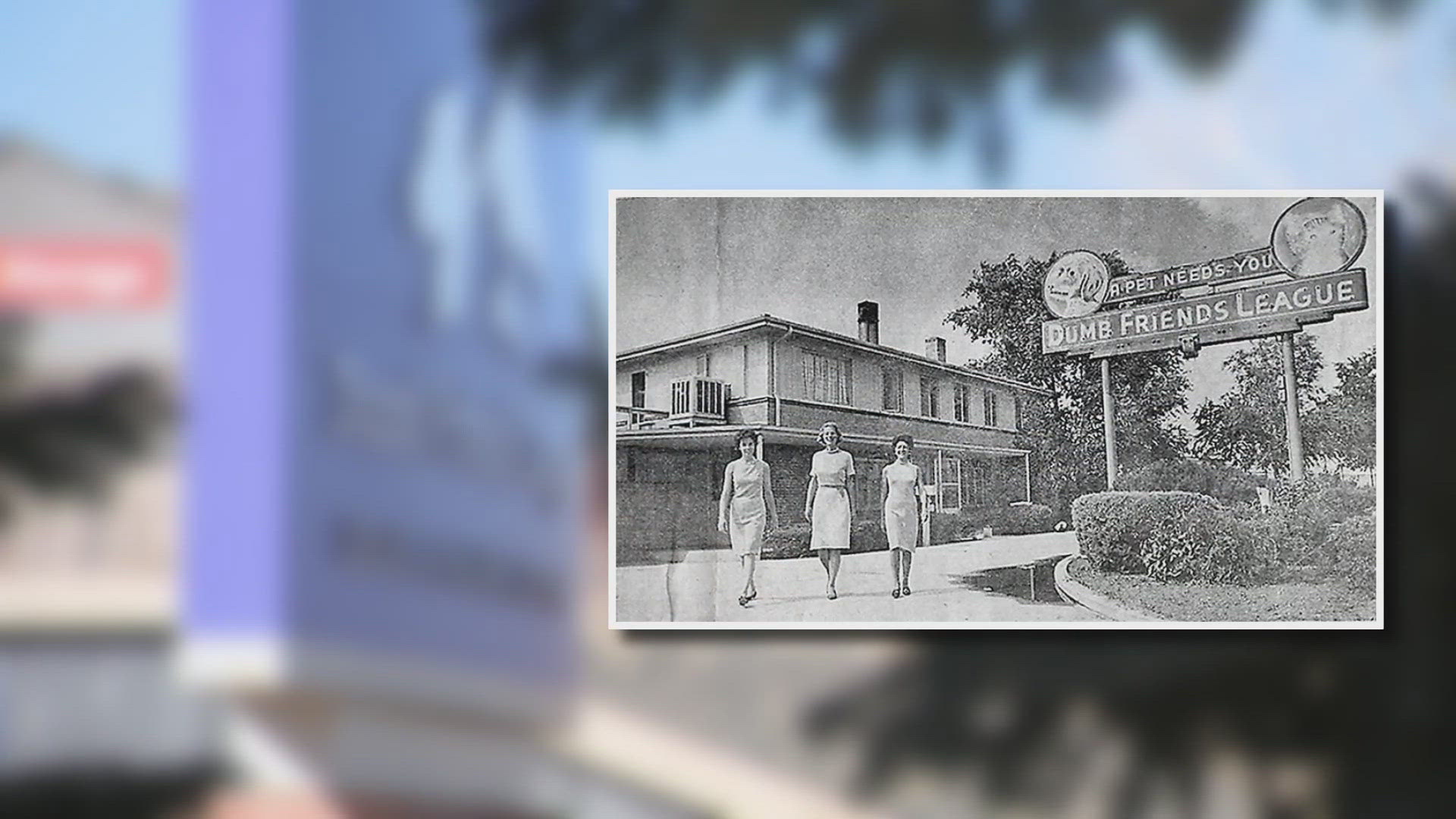 Humane Colorado's long legacy of trailblazing women continues today ...