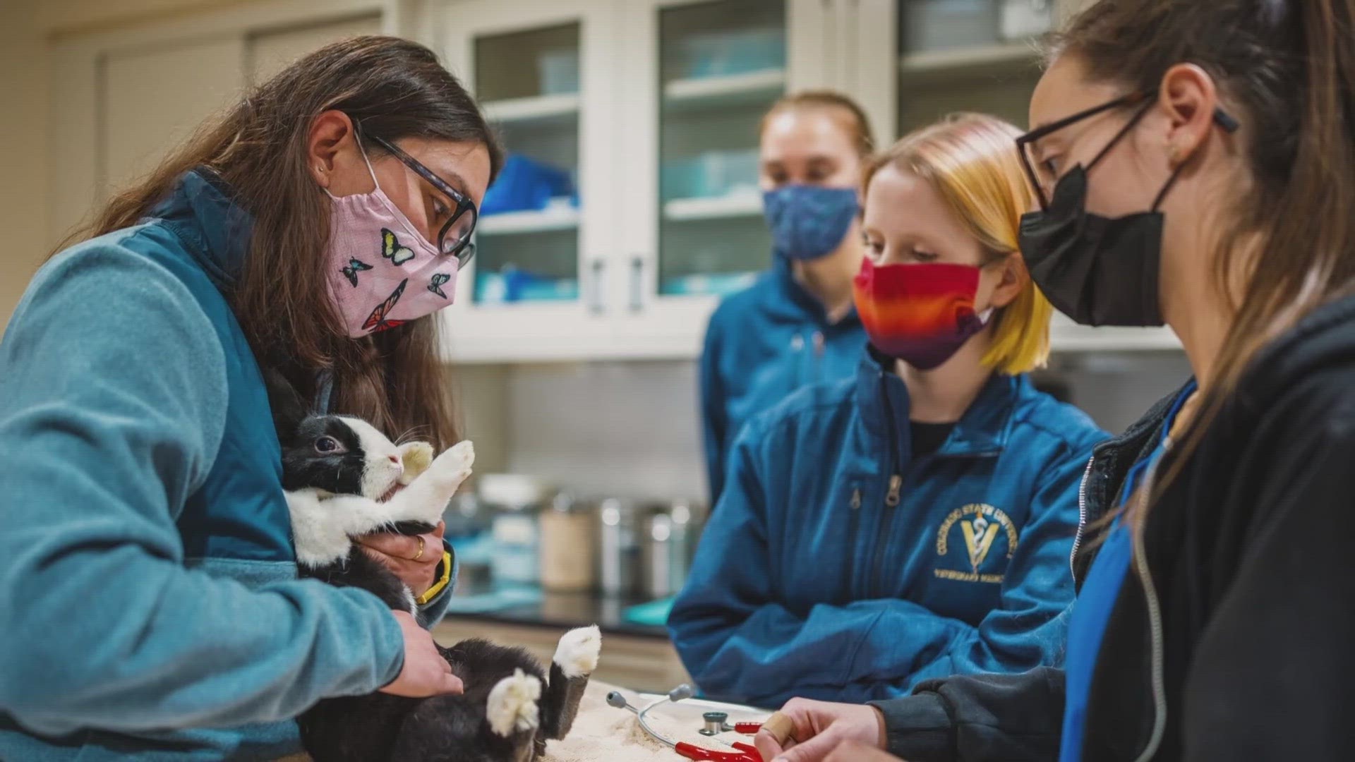 CSU aims to help fill shortage of veterinarians | 9news.com