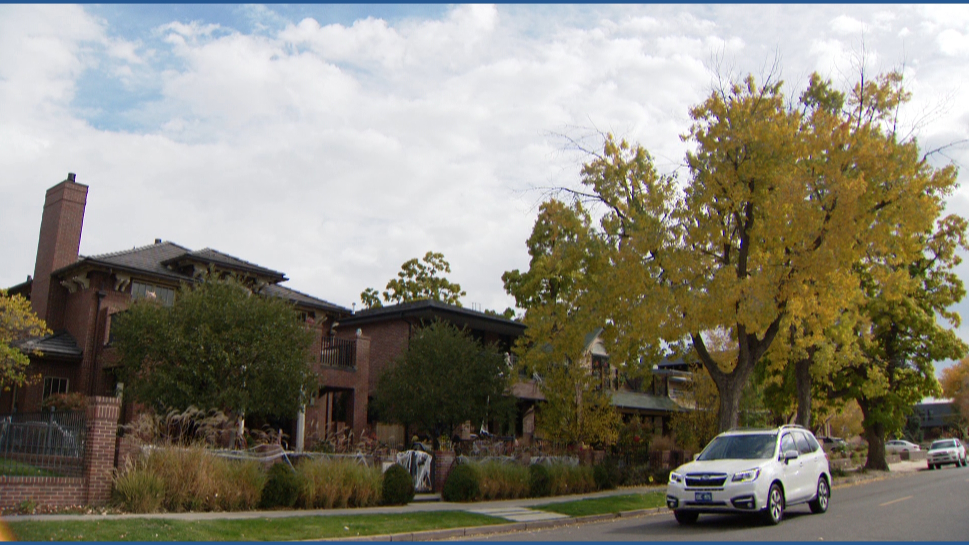 Hidden danger: Colorado's 'zombie trees' pose threat to homeowners this ...