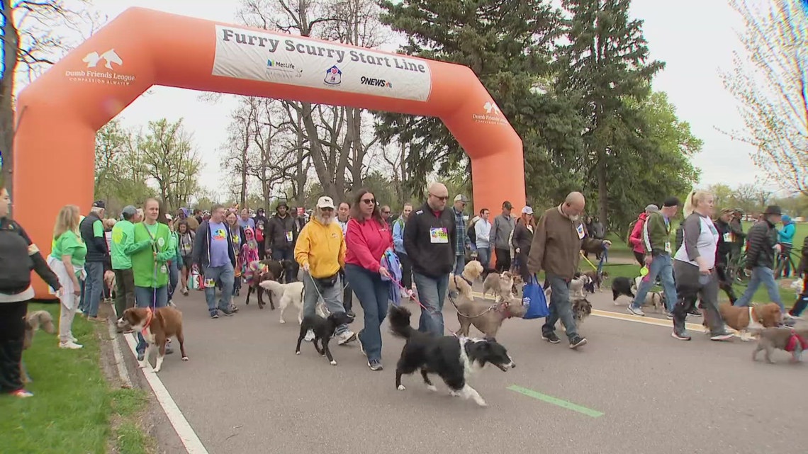 Furry Scurry 2025: Register to help Denver pets | 9news.com
