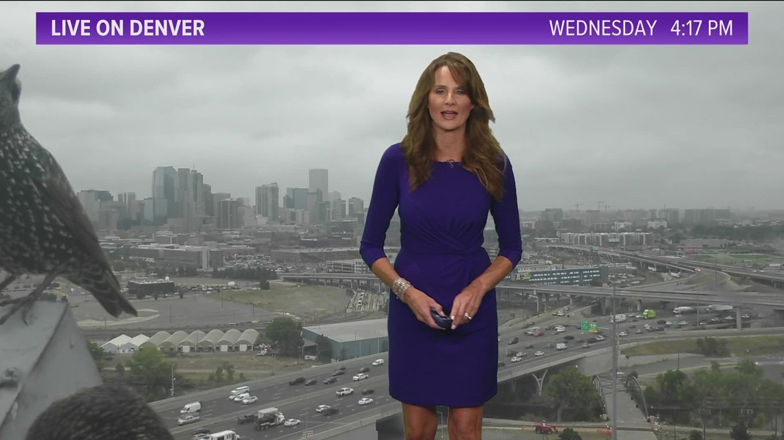 Kathy Sabine makes friends with the birds during her forecast | 9news.com