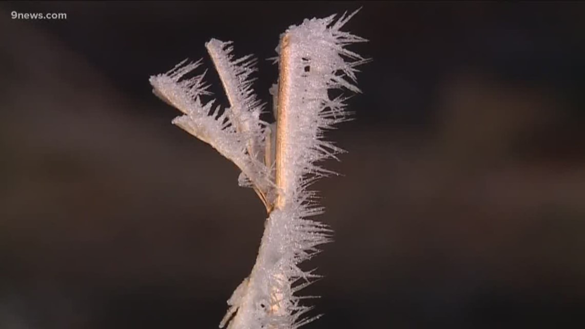 Fog created unique weather phenomenon known as rime ice | 9news.com