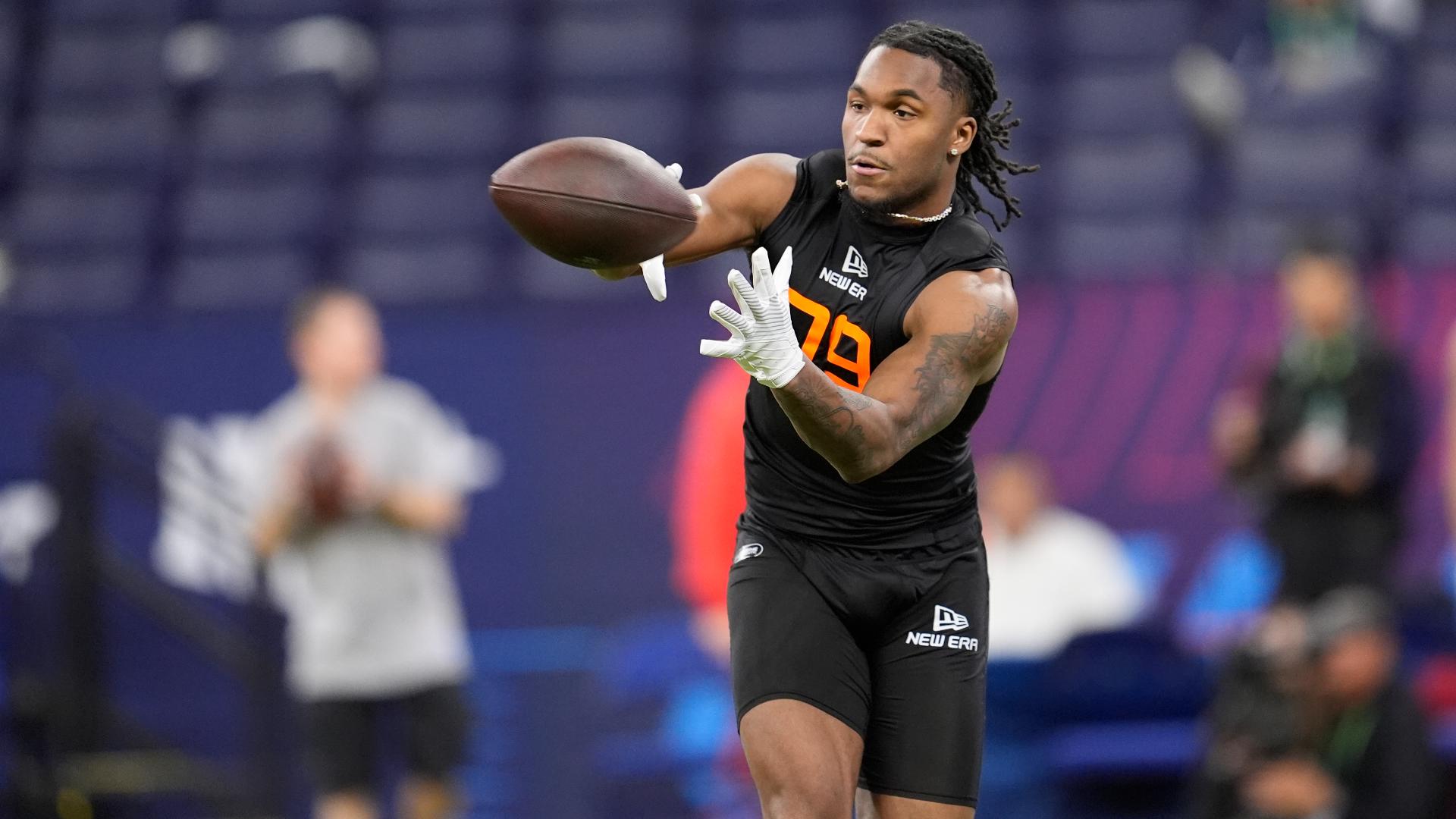 Pika conservation project goes statewide, needs volunteers | 9news.com