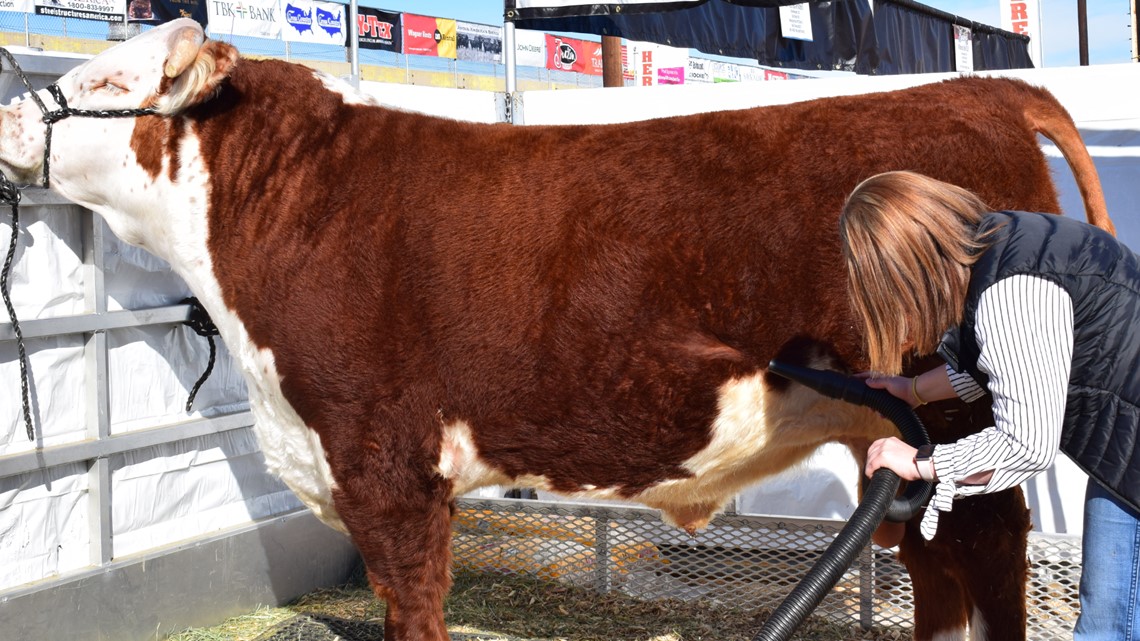 Spotlighting the female ranchers of the National Western Stock Show ...