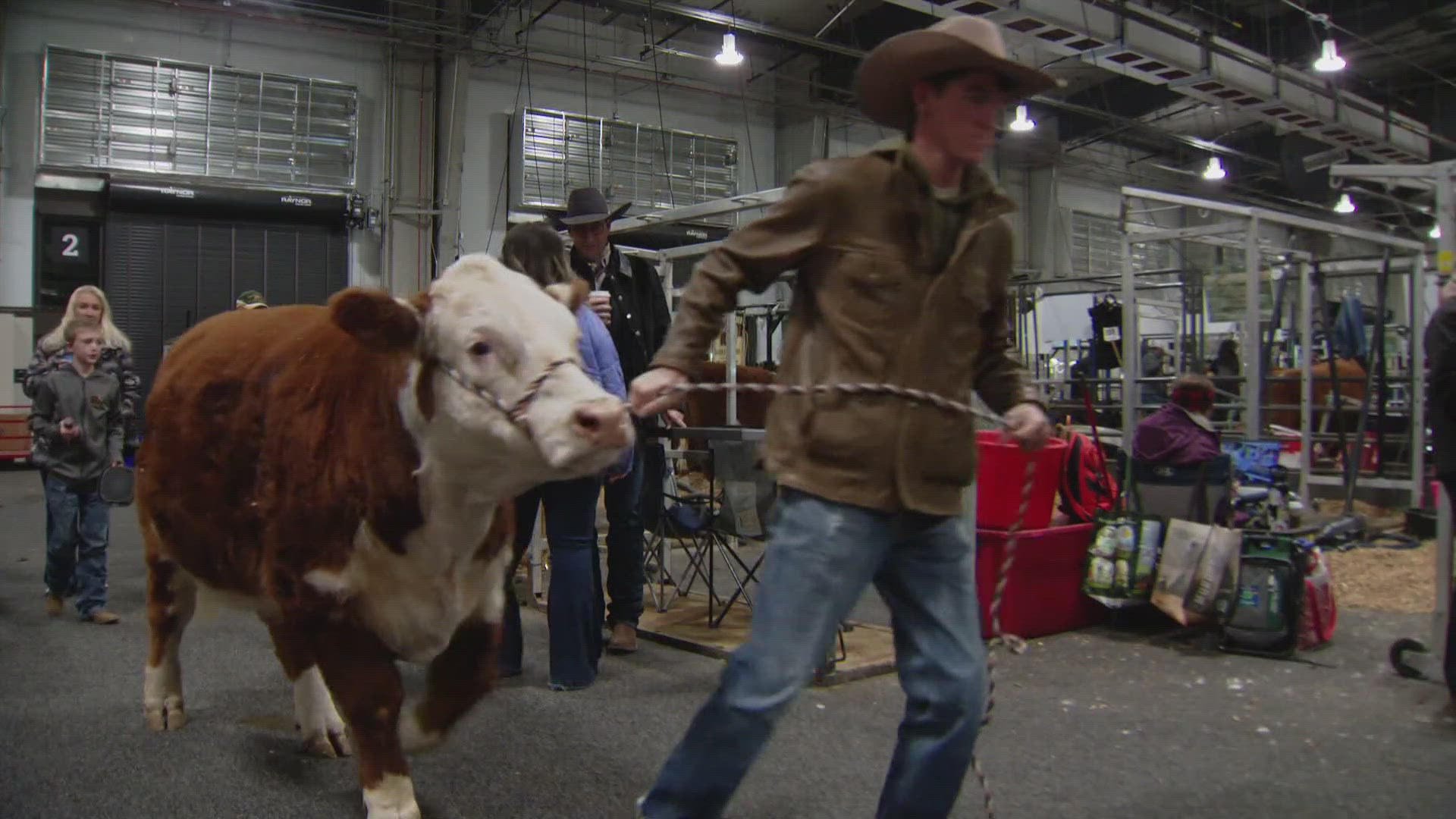 Stock Show opens with highest opening weekend attendance in event's ...