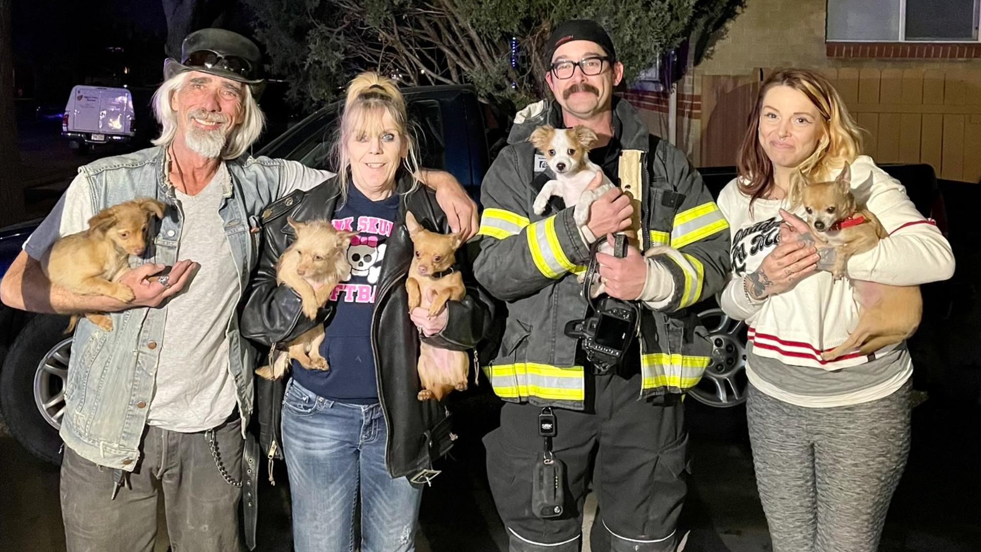 Puppies rescued from Adams County home | 9news.com