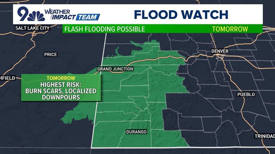 Inside Story: The courage of Lydia Tillman | 9news.com