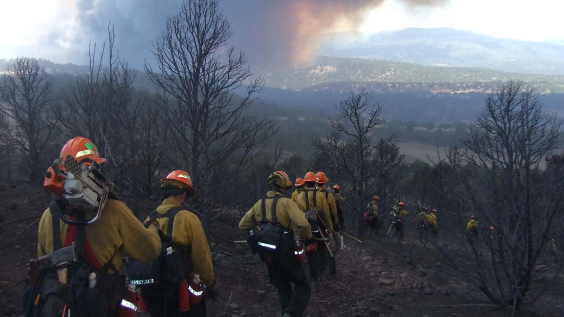 Former inmates find new purpose in Colorado's SWIFT firefighting ...