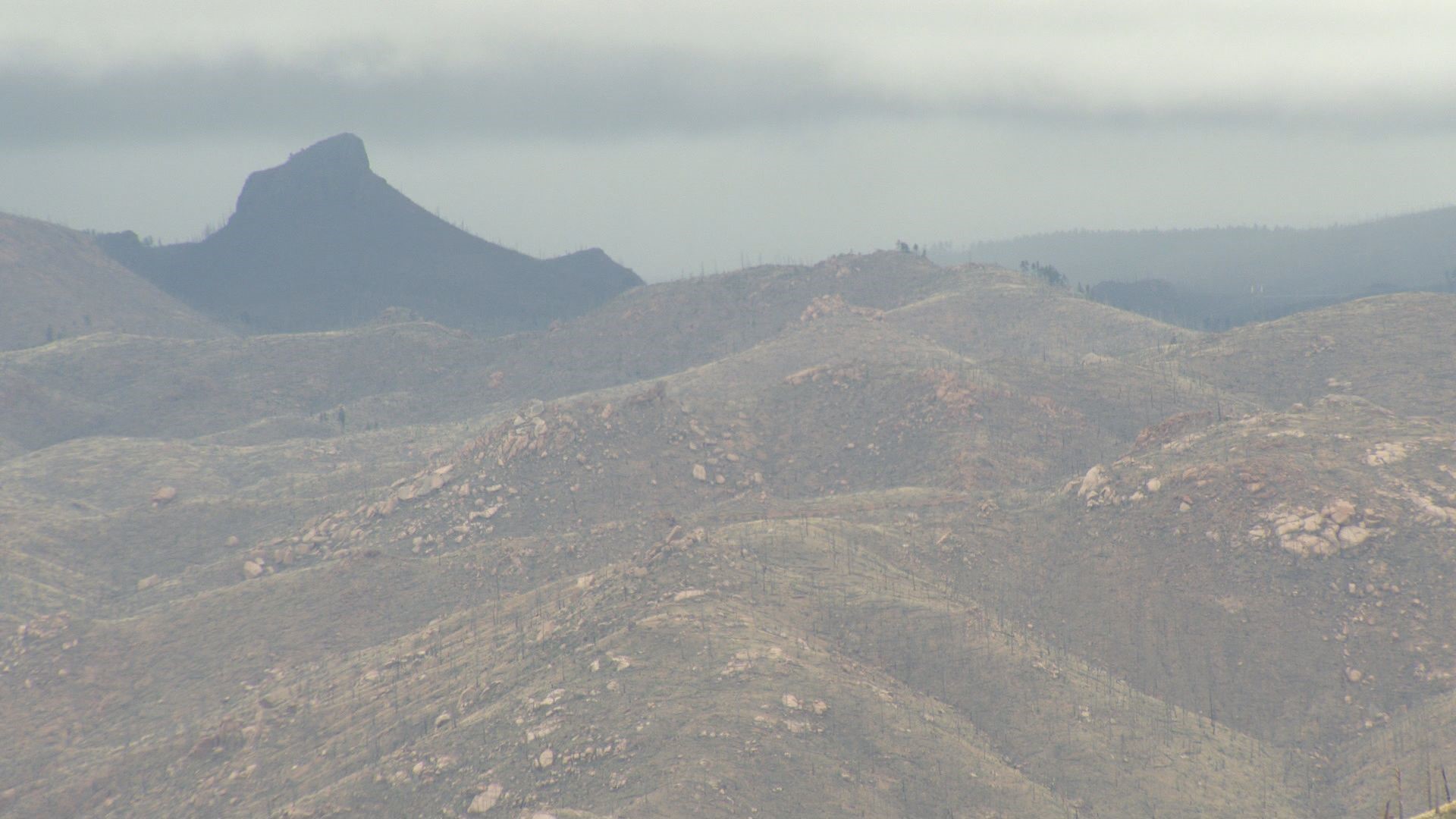 The Hayman Fire, 20 years later | 9news.com