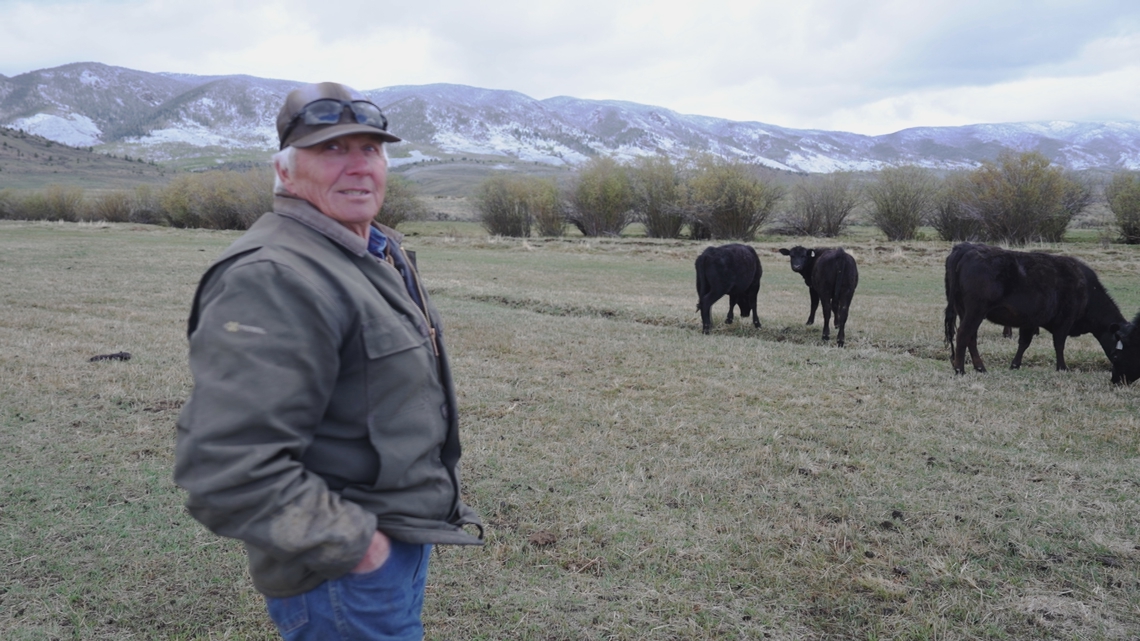 Colorado amends wildlife compensation rules for ranchers | 9news.com