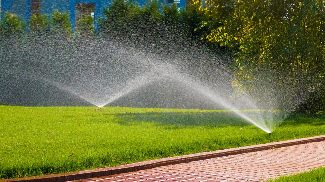 Denver Water implements mandatory watering restrictions | 9news.com