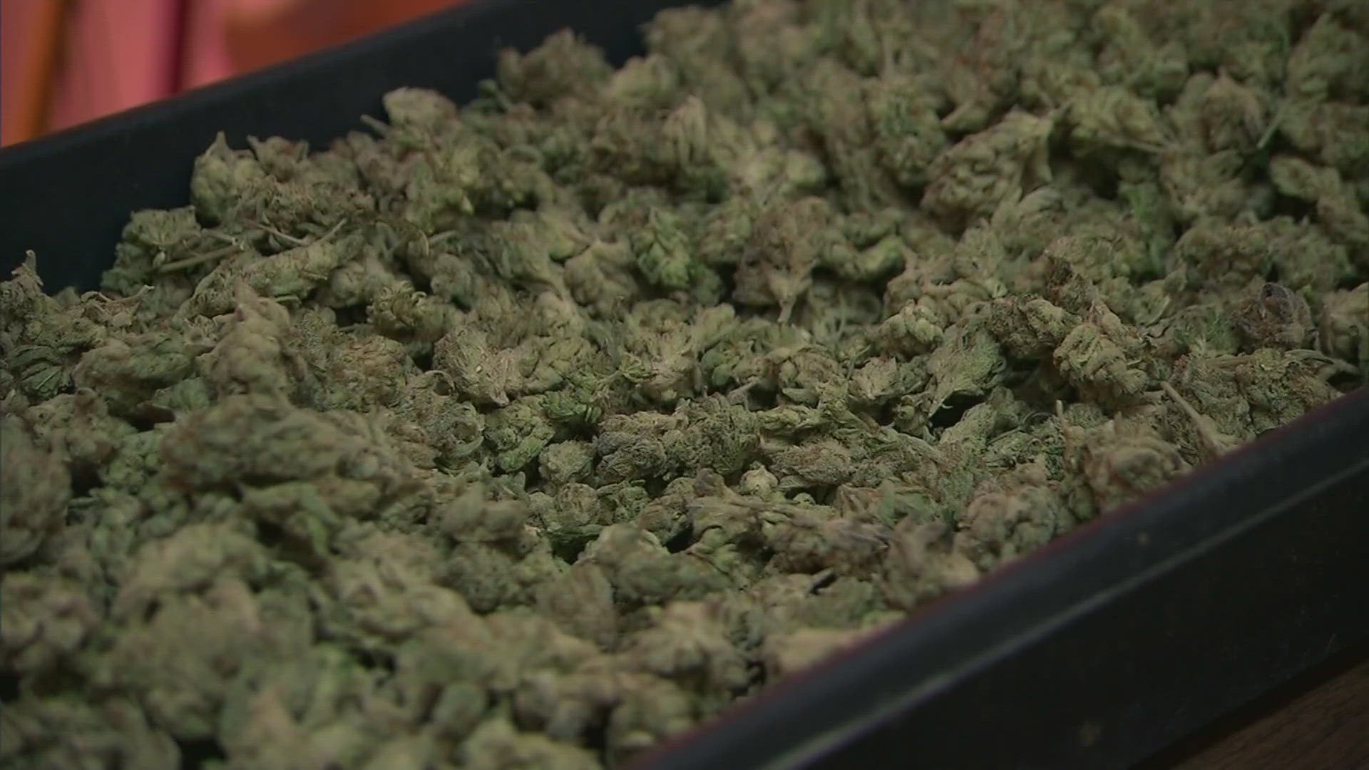 Trump signs executive order to reclassify marijuana | 9news.com