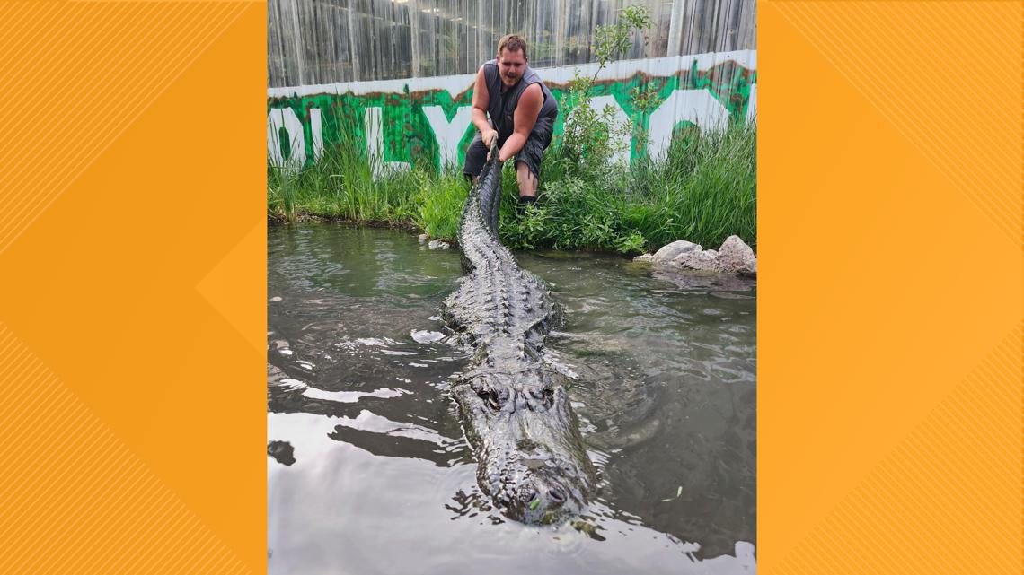 Morris the Alligator from 'Happy Gilmore' dies at 80 in Colorado ...