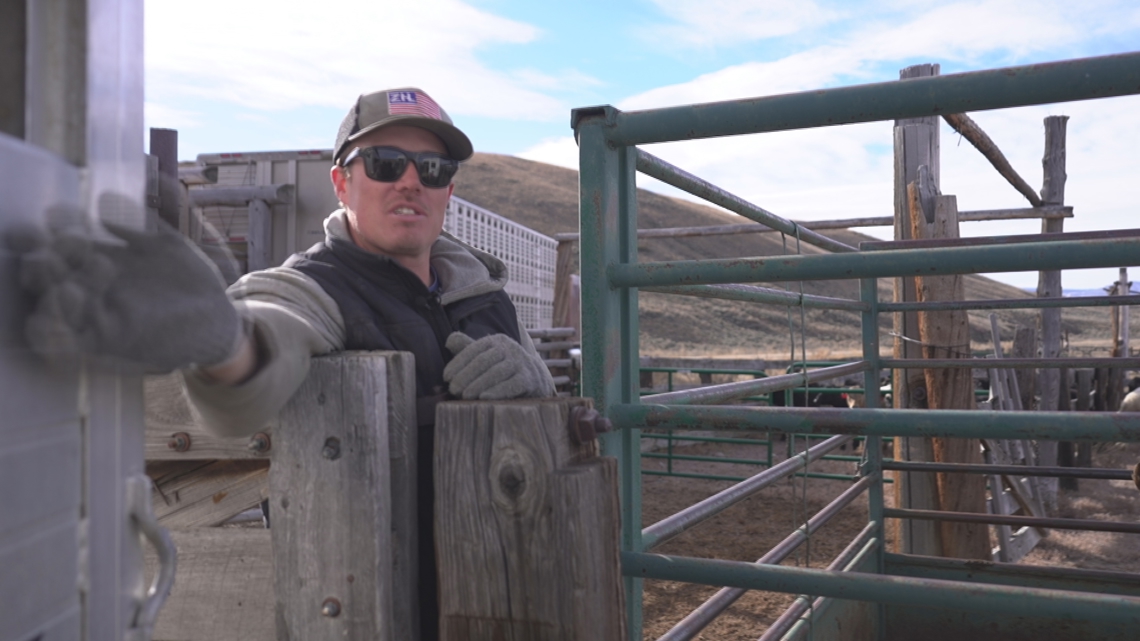 A year in the work of a Grand County, Colorado rancher | 9news.com