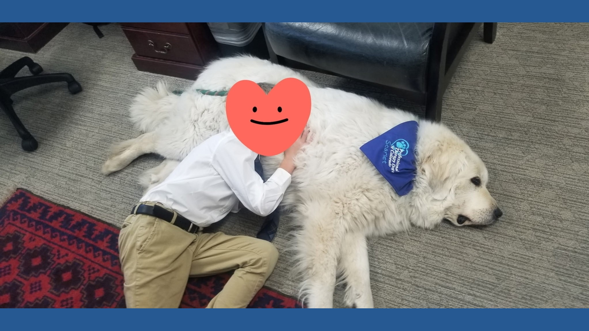 Therapy dog who's helped students after Evergreen High shooting now ...