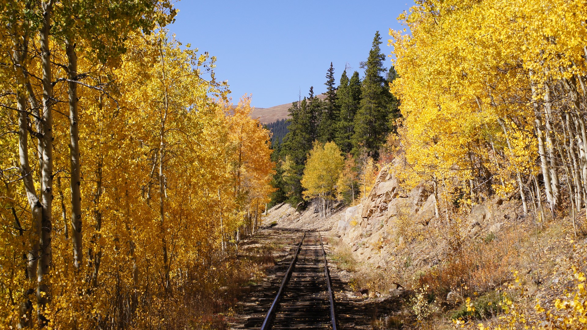 Colorado fall colors: When and where leaves will peak in 2020 | 9news.com