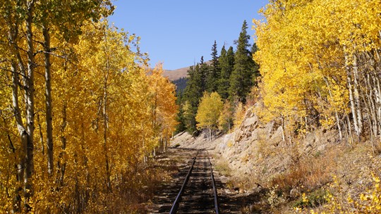 Colorado fall colors: When and where leaves will peak in 2020 | 9news.com