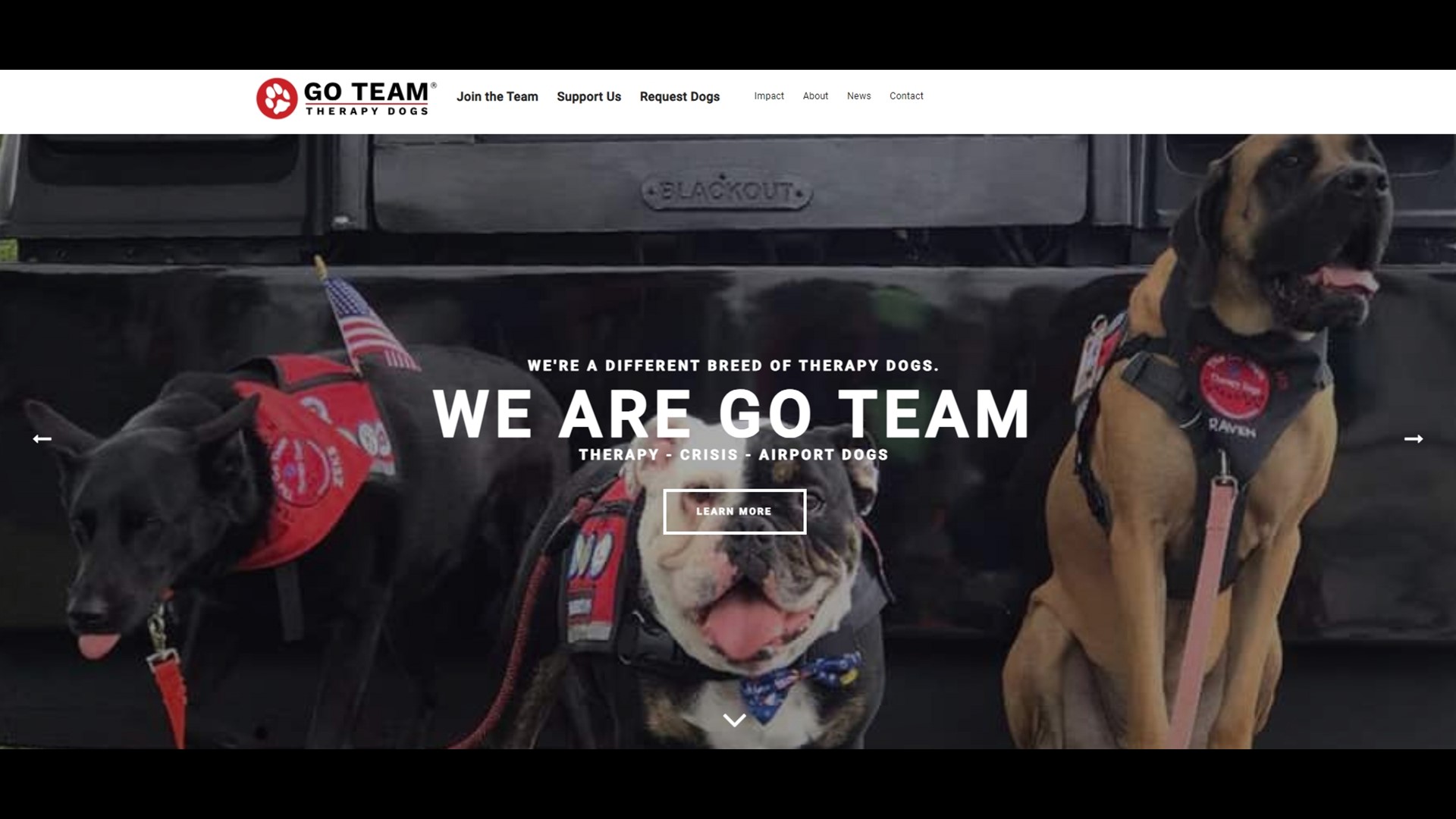 Go Team Therapy Dogs | 9news.com