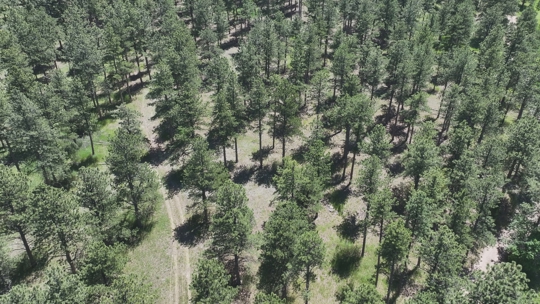 Fire restrictions now in place on US Forest Service land in Larimer ...