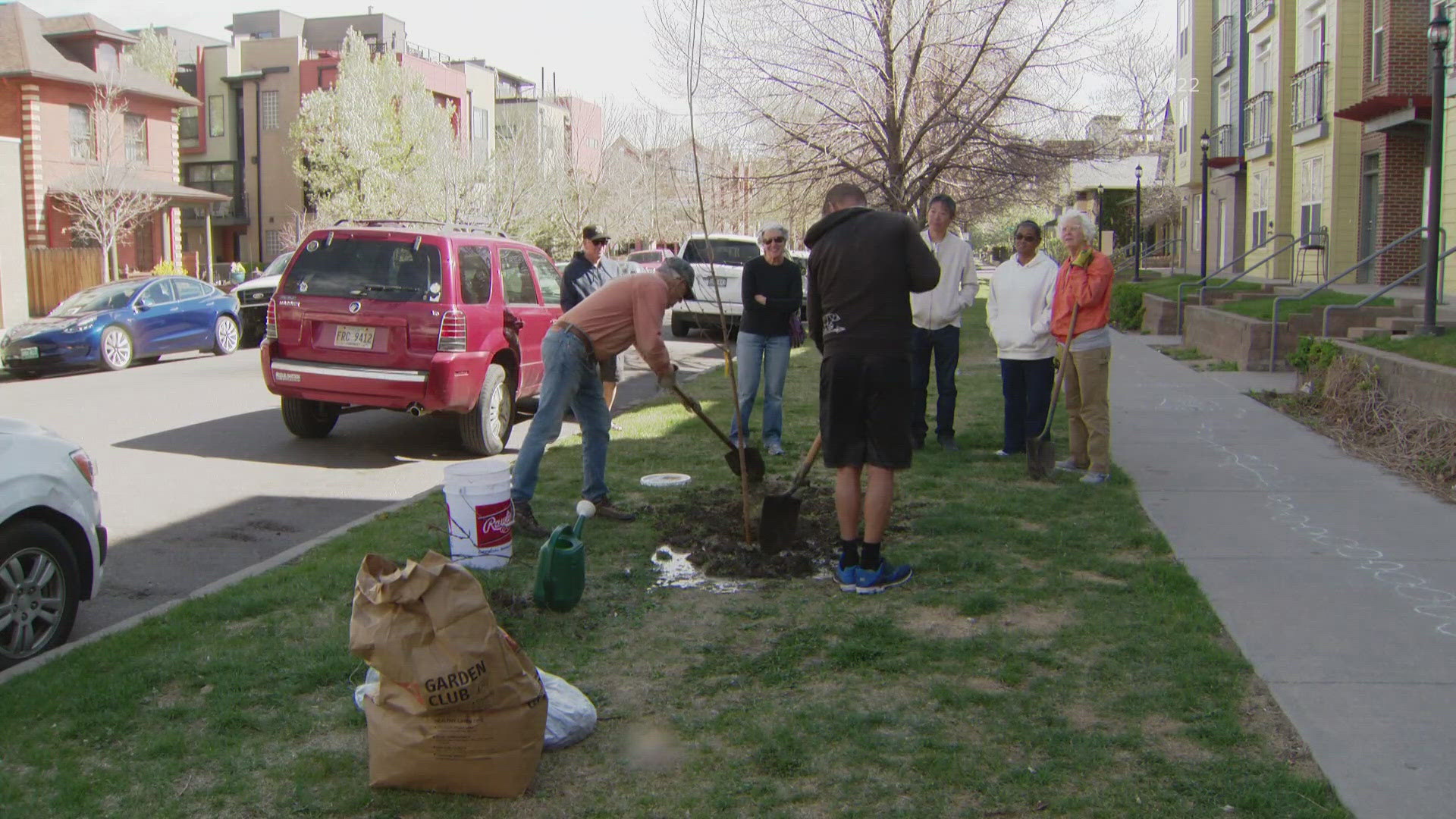 Denver nonprofit providing free and discounted trees | 9news.com