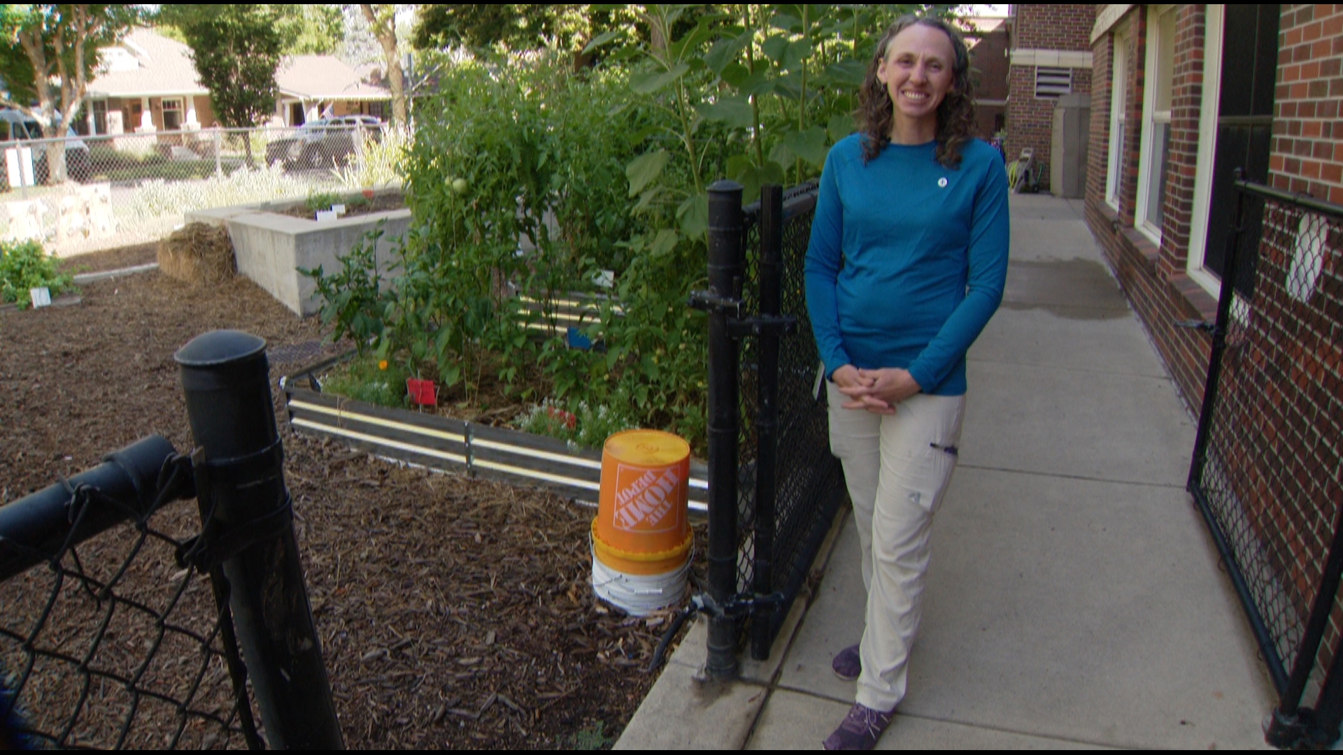 Denver students harvest vegetables, boost food pantry | 9news.com