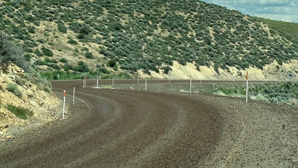 Millions of Mormon crickets invade Nevada city | 9news.com