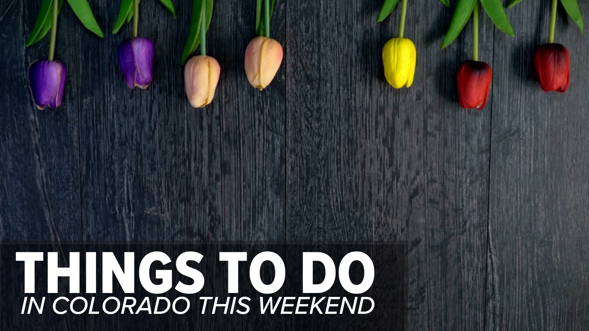 Jazz Aspen Snowmass books Imagine Dragons, Lenny Kravitz, Luke Combs in ...