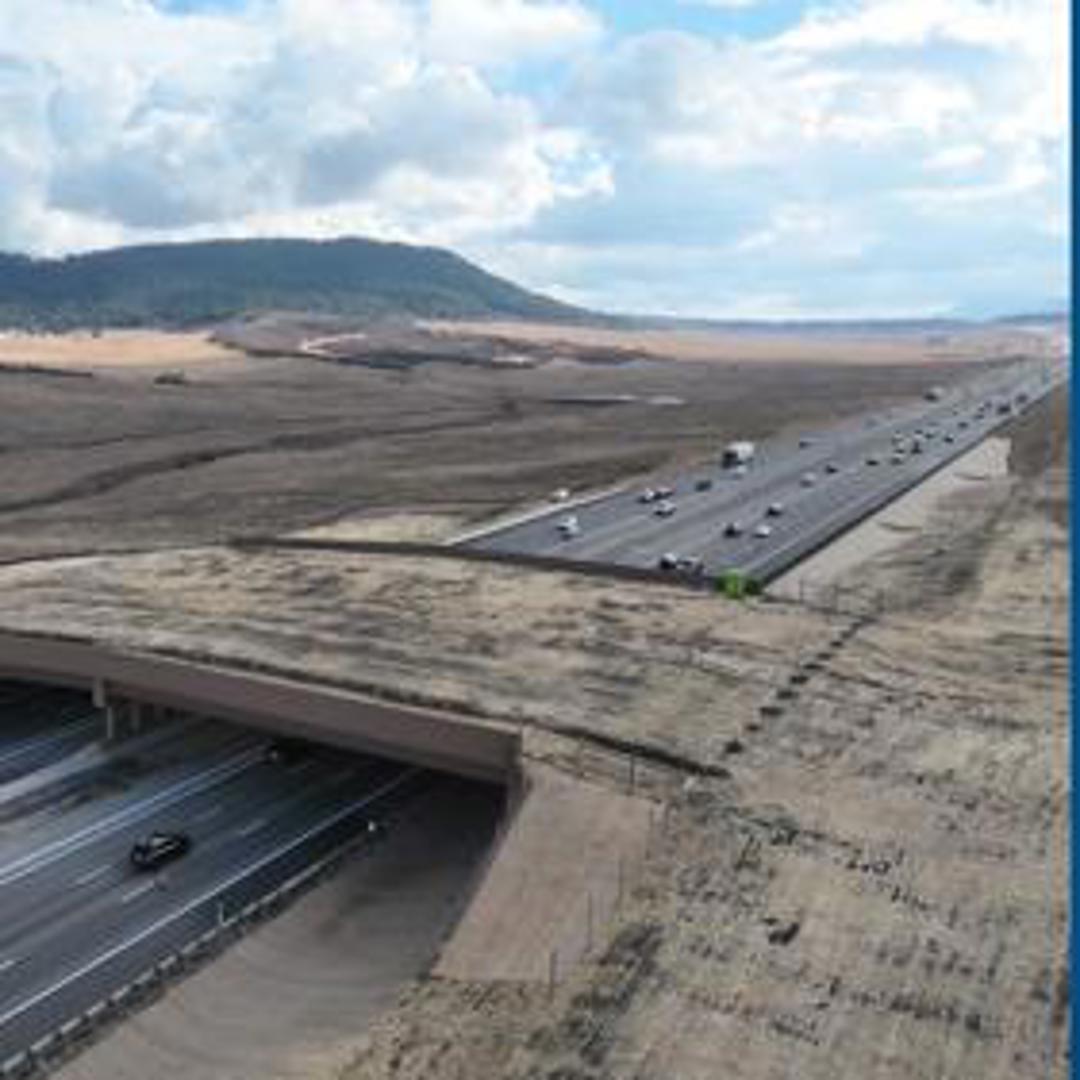 North America’s largest wildlife overpass completed in Colorado | 9news.com