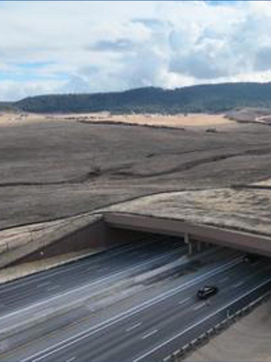 North America’s largest wildlife overpass completed in Colorado | 9news.com
