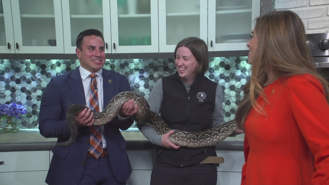Zoo animals wish 9NEWS anchor a wild farewell | 9news.com