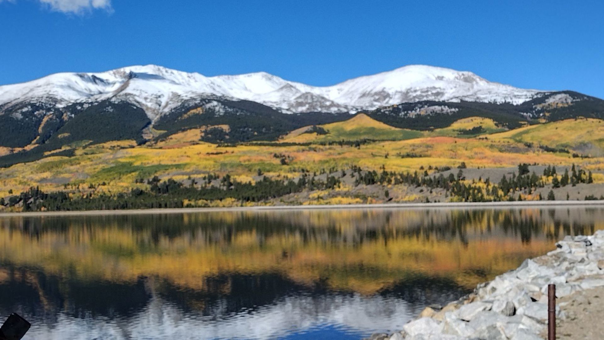 Peak fall color in Colorado: Where to see yellow leaves | 9news.com