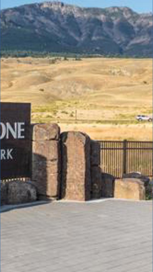 Bear attacks hiker in Yellowstone, first in over four years | 9news.com